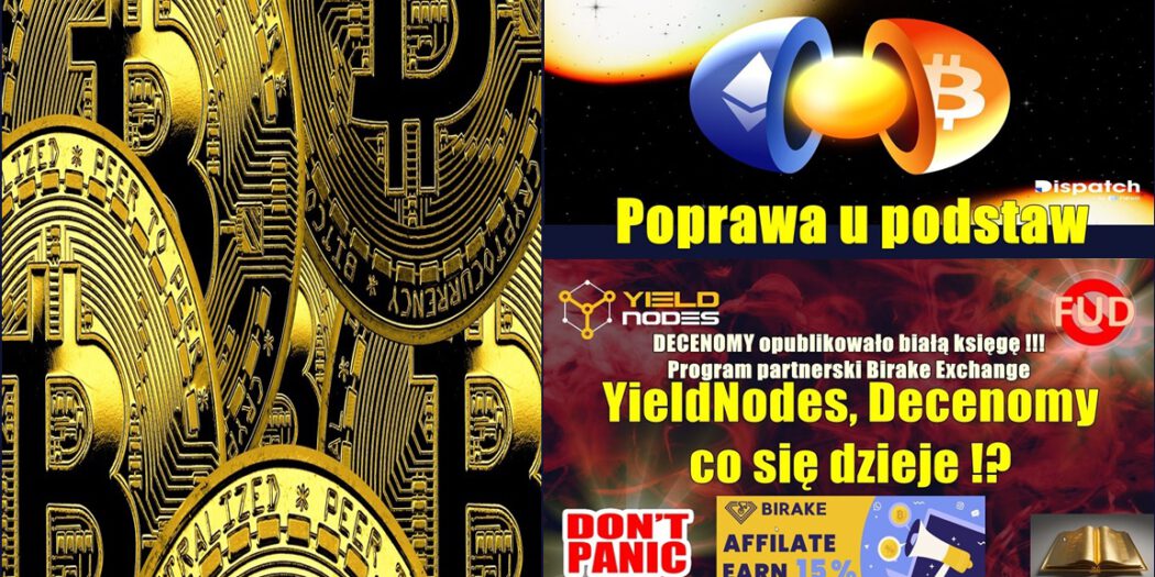 Poprawa u podstaw. DECENOMY opublikowało białą księgę !!! Program partnerski Birake Exchange ...